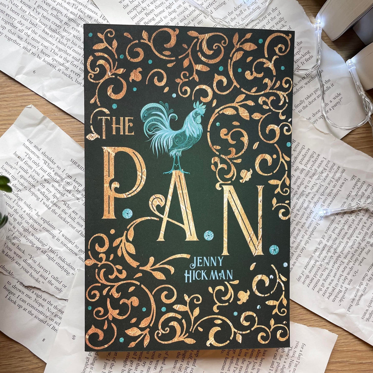 The PAN Trilogy by Jenny Hickman – Fiction & Friction